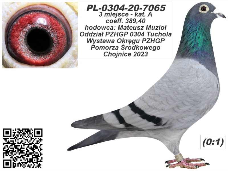 B-01-PL-0302-20-7764