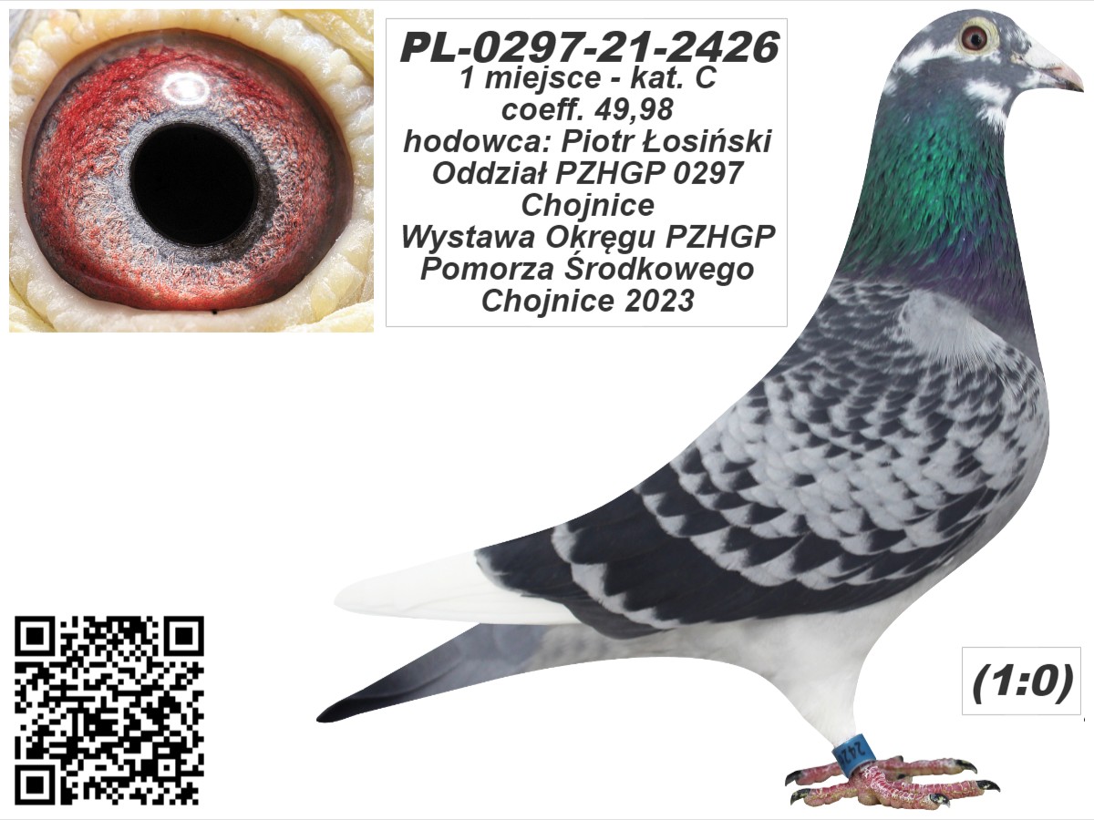 C-02-PL-0304-20-5072