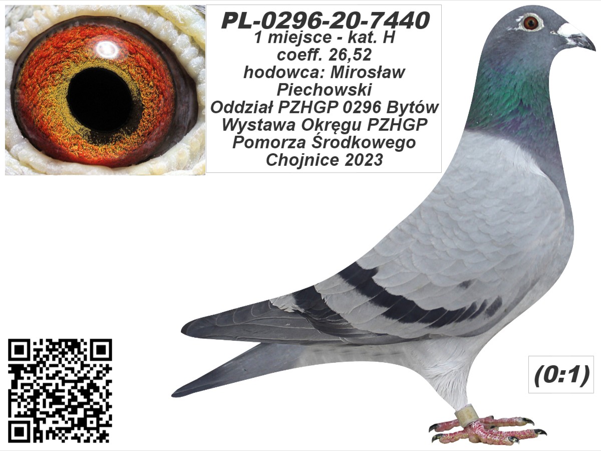 H-02-PL-0303-21-3843