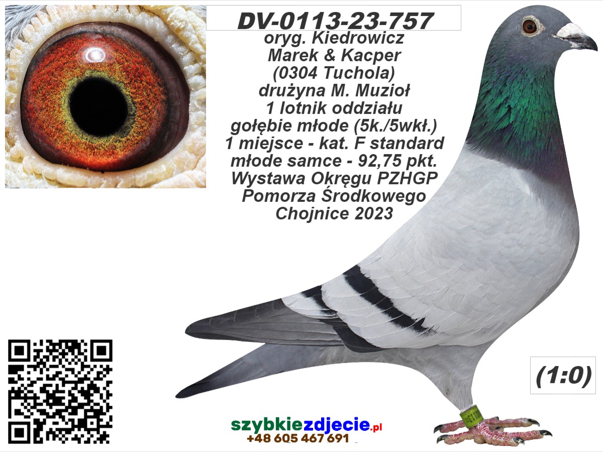 SMC-F-04-PL-0402-23-163